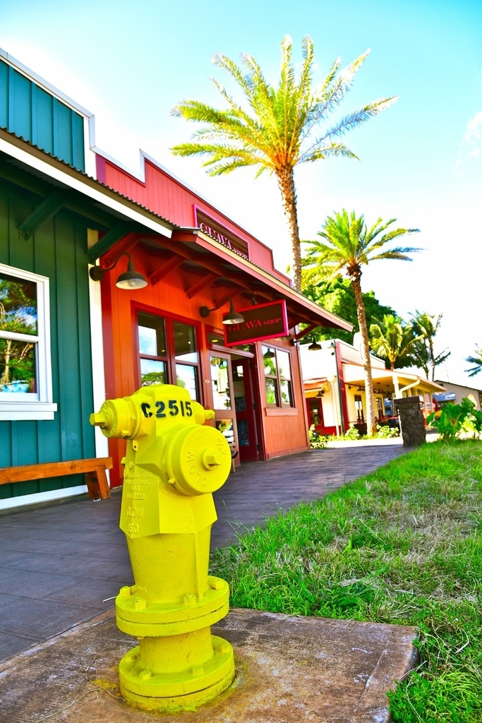 Endless Escape - Utsuke Bron