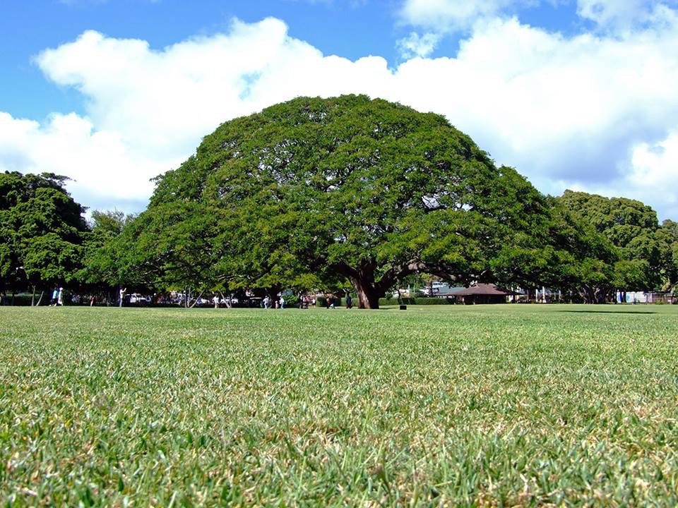 Endless Escape - Utsuke Bron