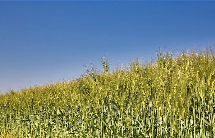 保存食 探訪 - Utsuke Bron