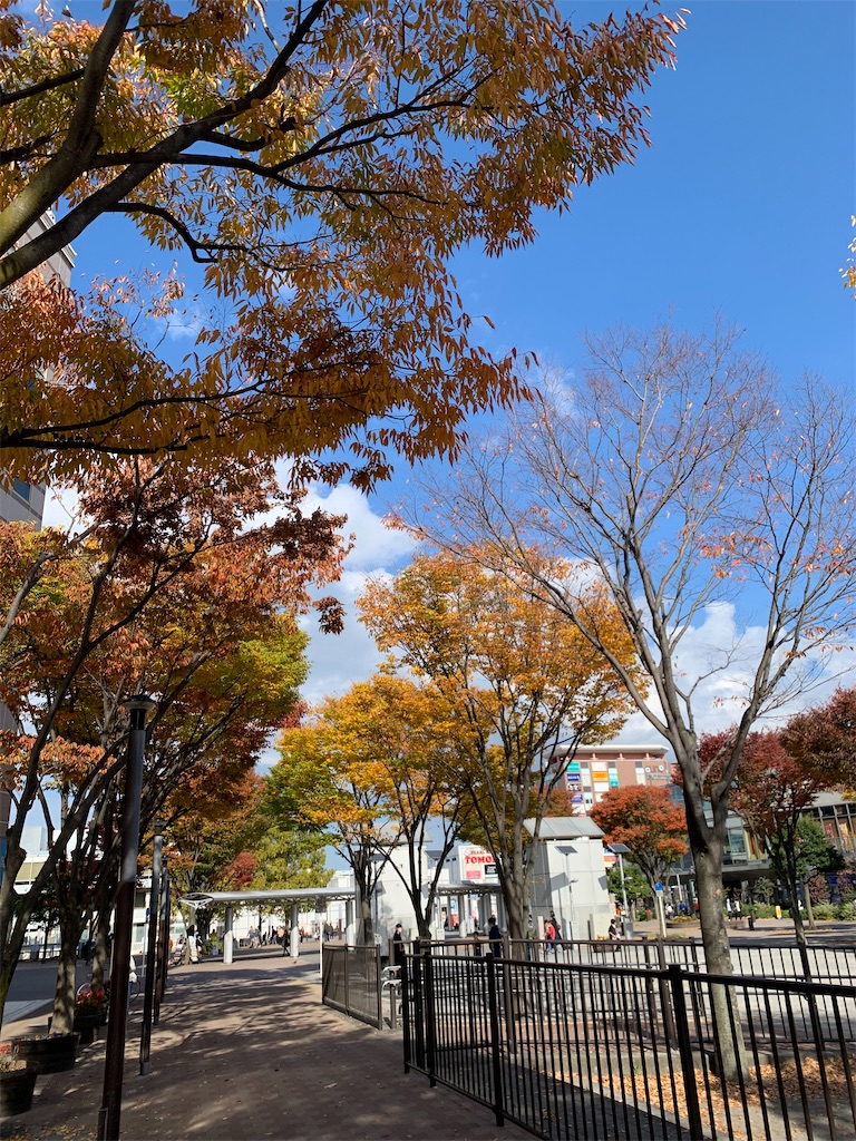 秋の中、無性に歩きたくて - kappiiのグリーフとか