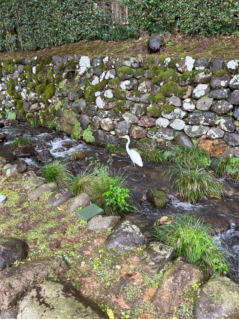 （旅行）金沢行ってきた（3/4） - kappiiのグリーフとか