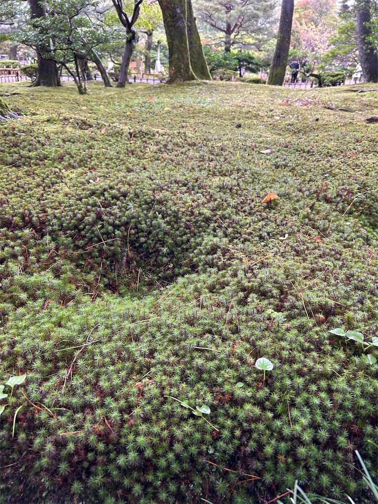 （旅行）金沢行ってきた（3/4） - kappiiのグリーフとか