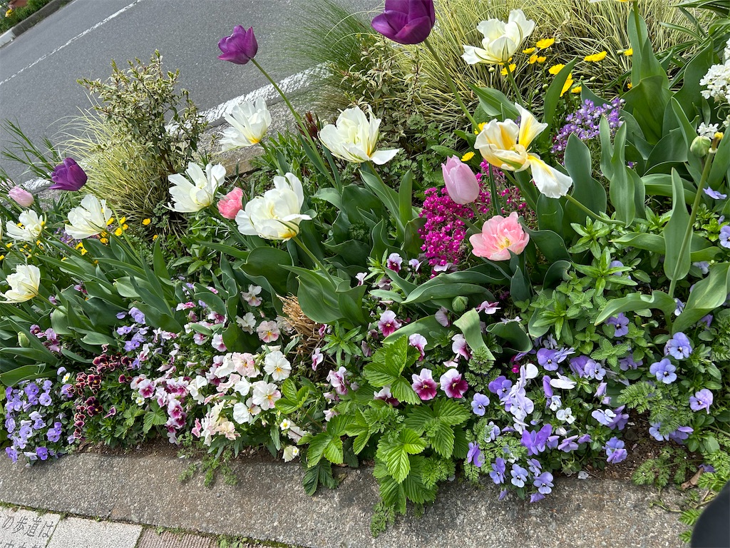 anaポケットのコインを貯めるために - kappiiのグリーフとか