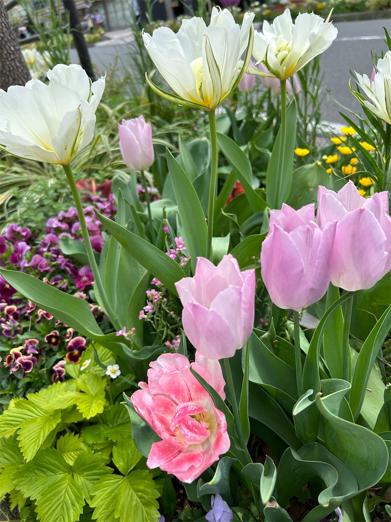 anaポケットのコインを貯めるために - kappiiのグリーフとか