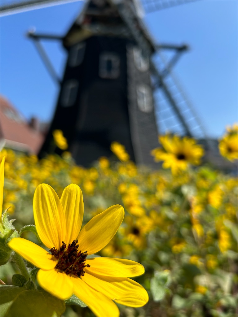 （夏休み）2日目ハウステンボス - kappiiのグリーフとか