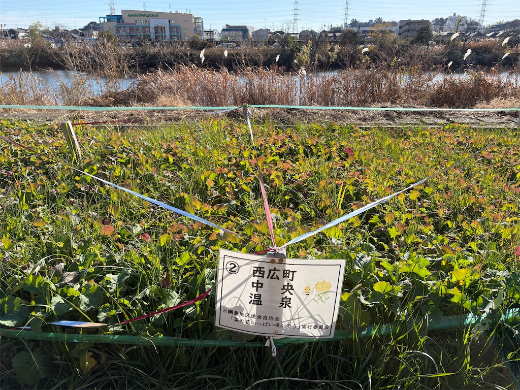 （散歩）自然を求めて早渕川を歩いてく - kappiiのグリーフとか