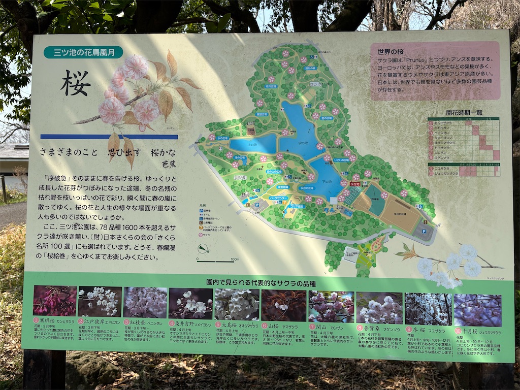 三ツ池公園行ってきた - kappiiのグリーフとか