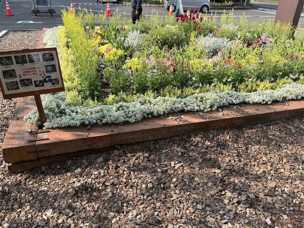 津久井湖に行って来た - kappiiのグリーフとか