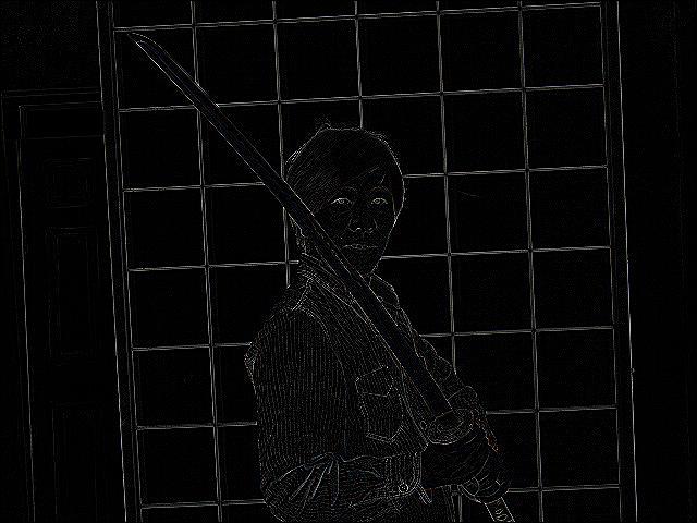 PythonでOpenCVに頼らずNumpy+PILで画像処理のフィルタを1から作って理解する - karaage. [からあげ]