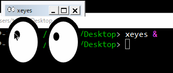 SSH X11fowarding on WSL - e-tipsmemo