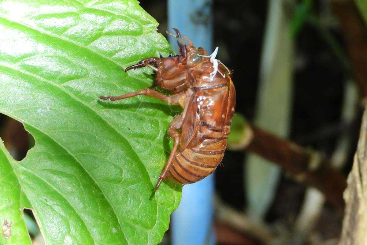 kataroのつぶやき