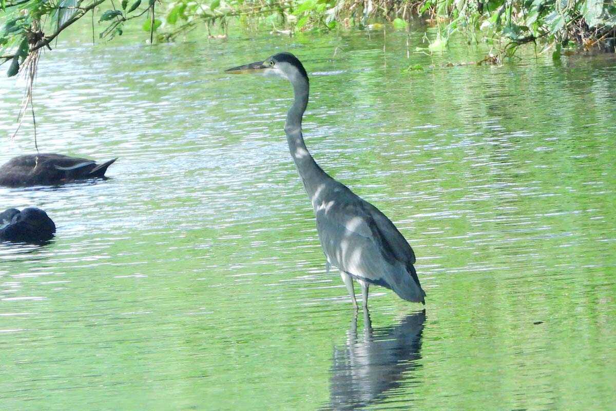 秋を感じた - kataroのつぶやき