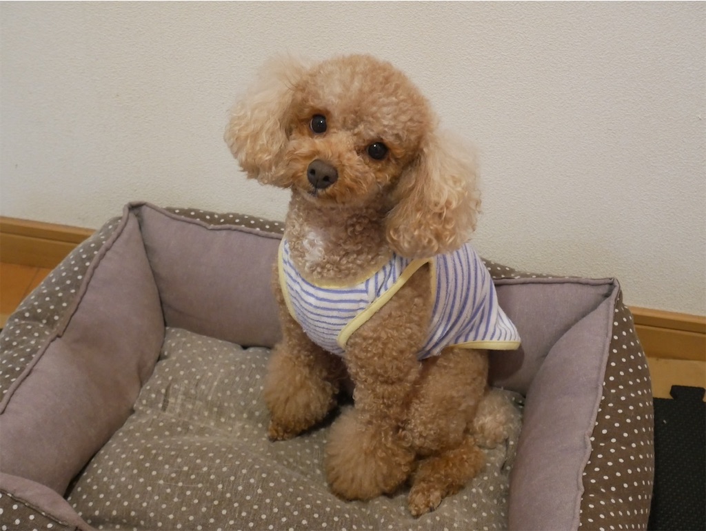 我慢の限界でした！！ - kaych’s diary