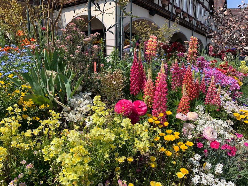 家族旅行♪ - SAD diary