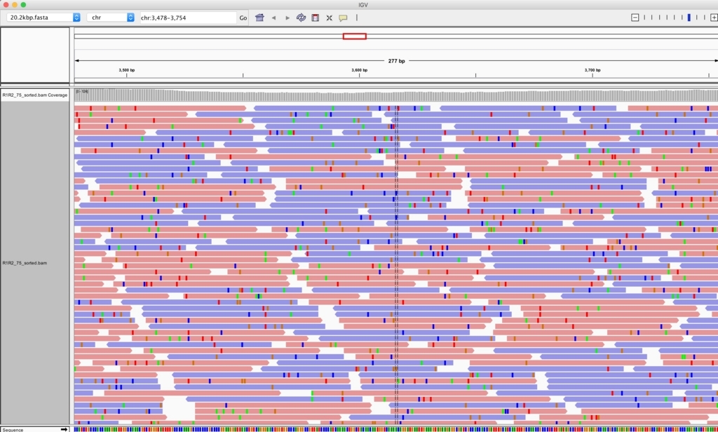 IGVが重い時のtips - macでインフォマティクス
