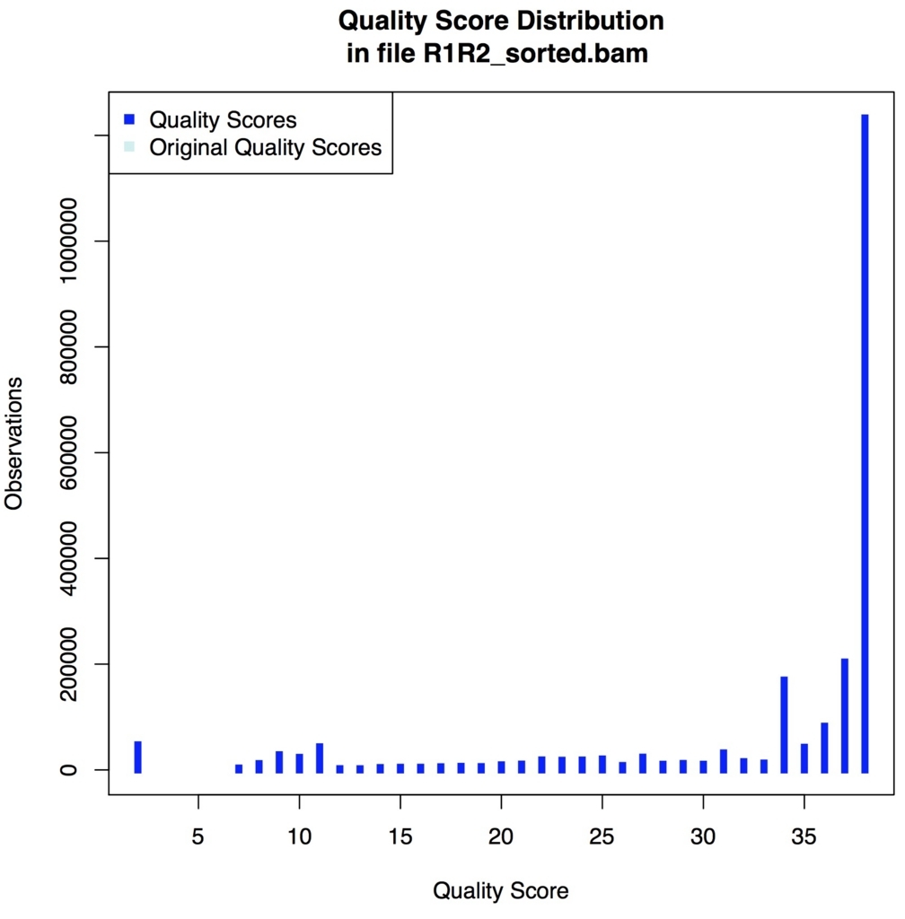 sam/bam関係のツールまとめ - macでインフォマティクス