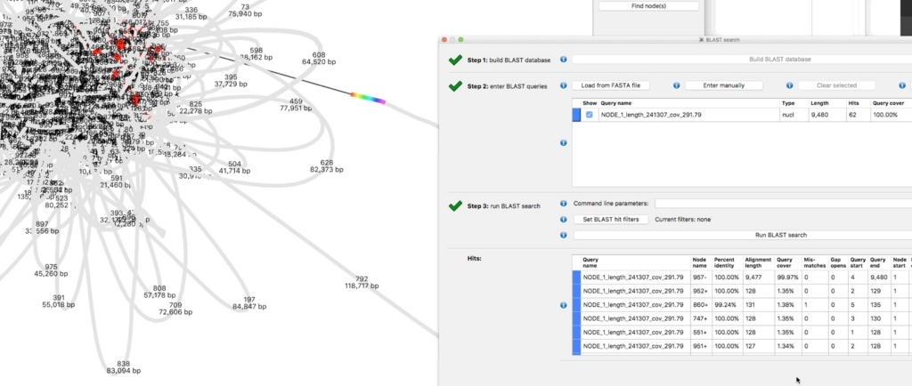 アセンブルのgraphを可視化する GUIツール Bandage - macでインフォマティクス