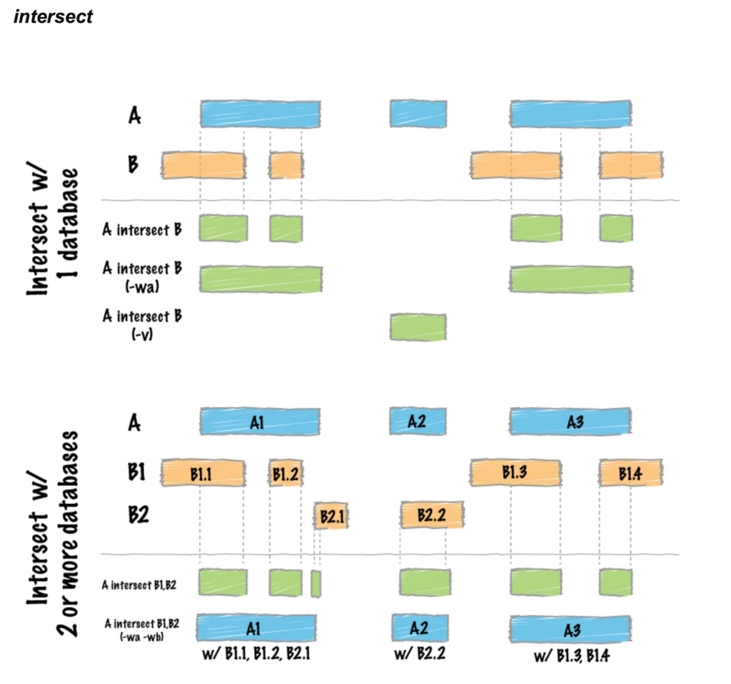 bedtools - macでインフォマティクス