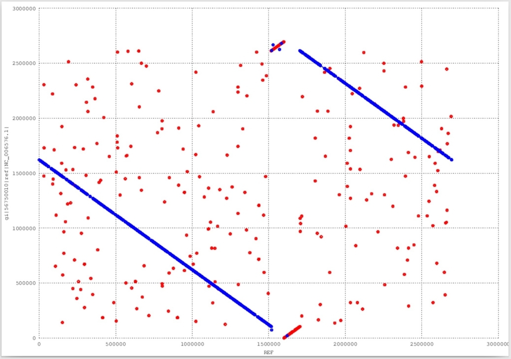 ゲノムを比較する MUMmer - macでインフォマティクス