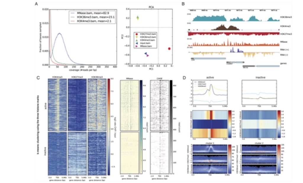deeptools - macでインフォマティクス
