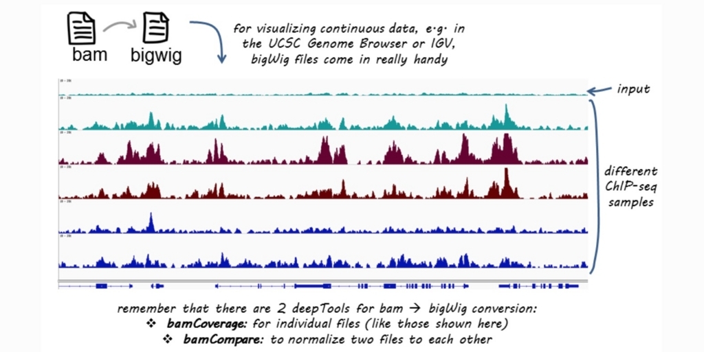 deeptools - macでインフォマティクス