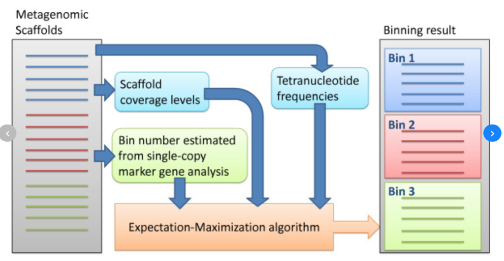メタゲノムアセンブリのBinner MaxBin2 - macでインフォマティクス