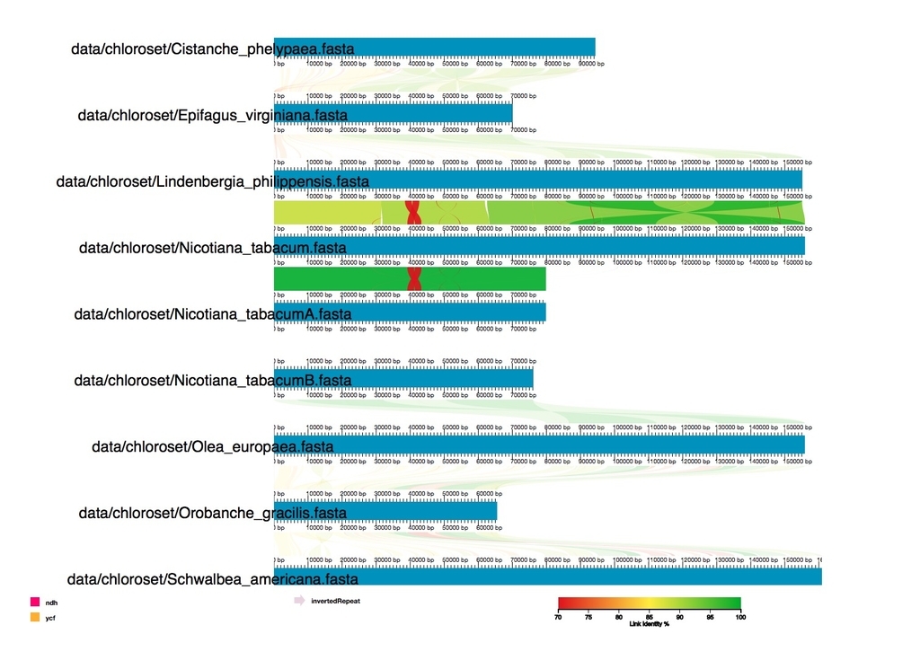 複数ゲノムを比較し、結果をインタラクティブに視覚化する AliTV - macでインフォマティクス