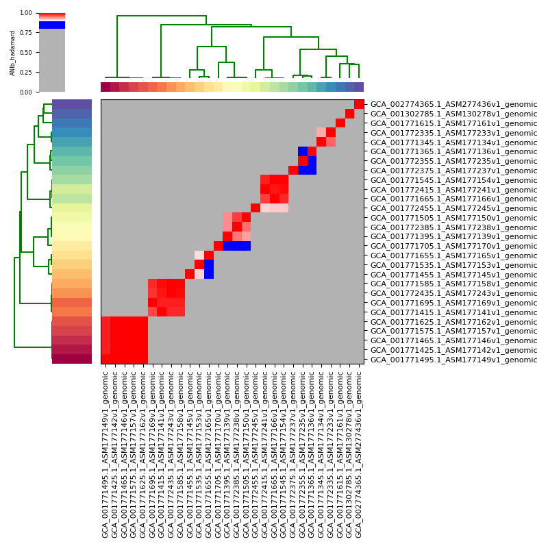 ゲノムをダウンロードして総当たりANI比較を実行する pyani - macでインフォマティクス