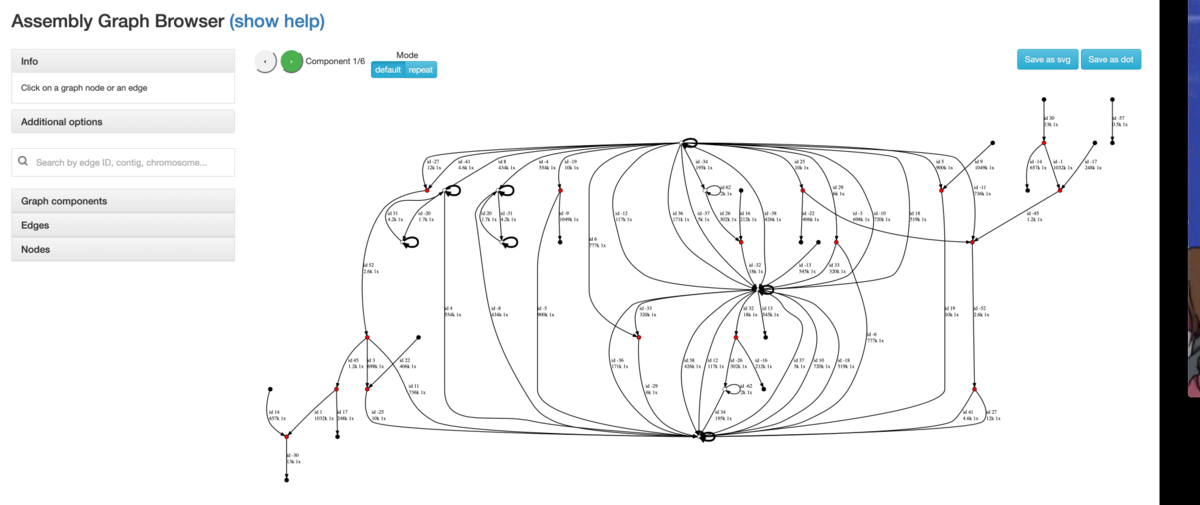 アセンブリグラフのGFAを可視化する Assembly Graph Browser (AGB) - macでインフォマティクス