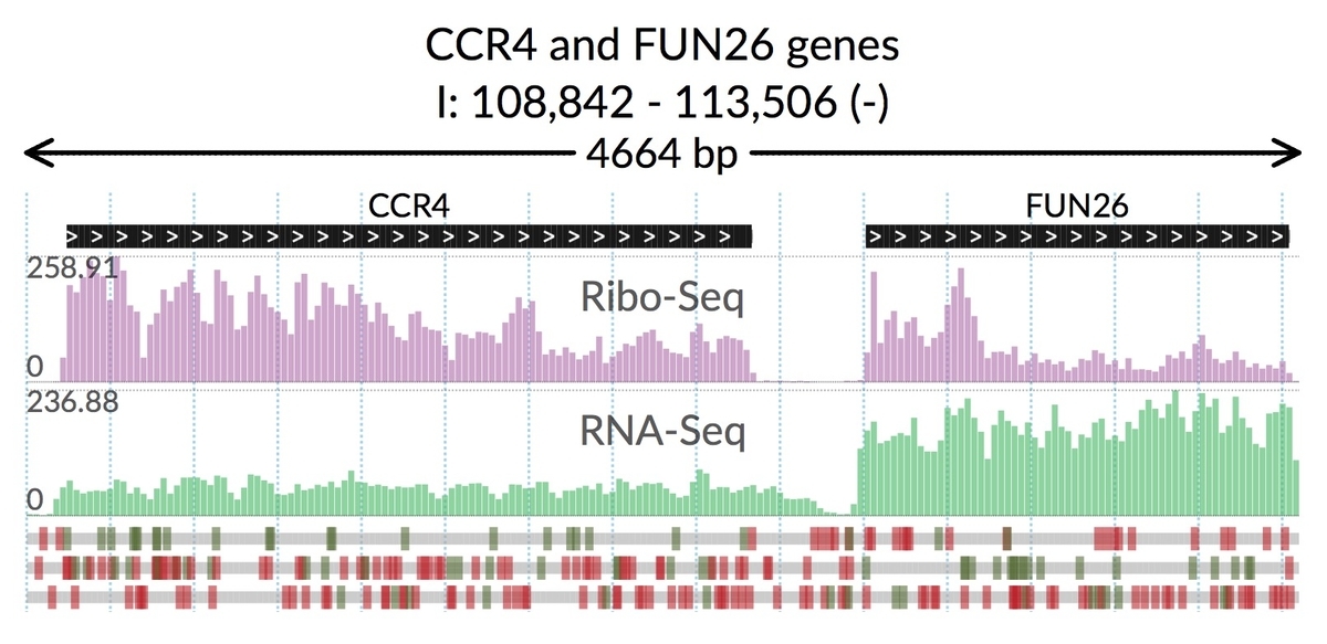 genome trackを可視化する svist4get - macでインフォマティクス