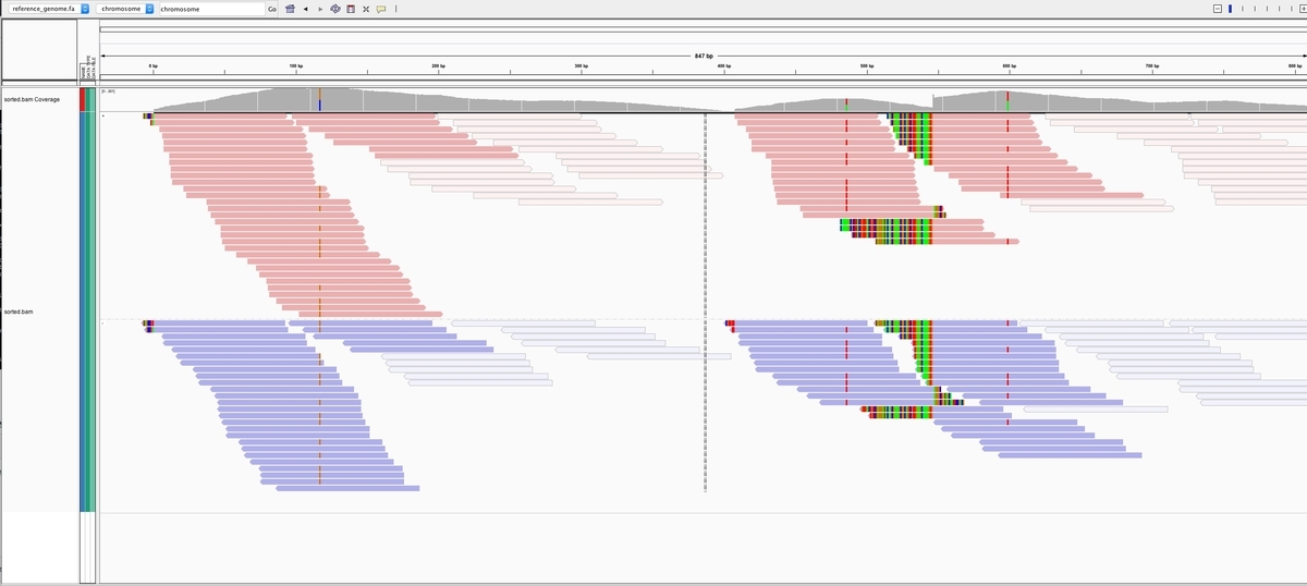 リファレンスフリーで低メモリかつ高速にSNVとsmall indelを予測する DiscoSnp ++ - macでインフォマティクス