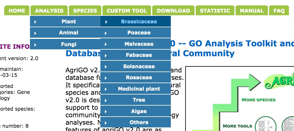 GO enrichment解析データベース agriGO v2.0 - macでインフォマティクス
