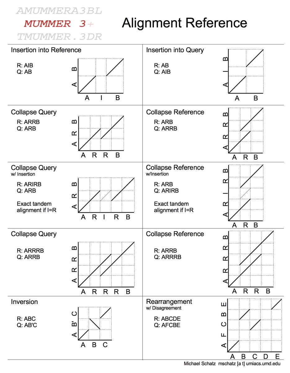 ゲノムを比較する MUMmer - macでインフォマティクス