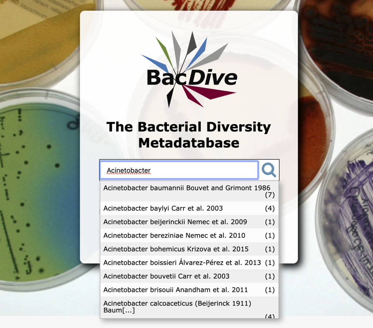 タイプ株を中心にバクテリアの表現型情報をまとめたデータベース BacDive - macでインフォマティクス