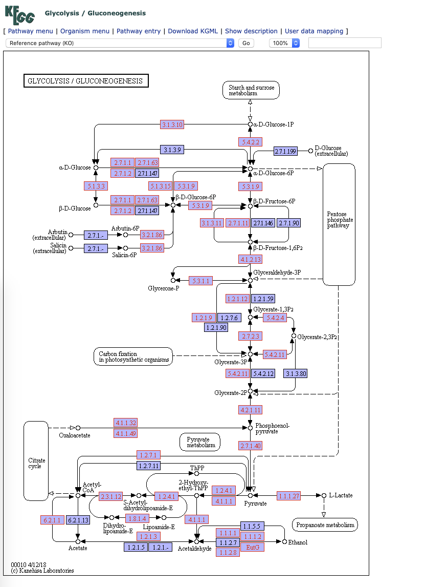 Metagenomic contigsの分析と可視化のための自動化されたパイプライン MetaErg - macでインフォマティクス