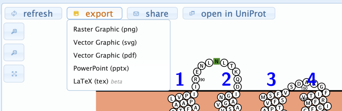 膜タンパク質の推定膜貫通領域などのフィーチャを視覚化する Protter - macでインフォマティクス