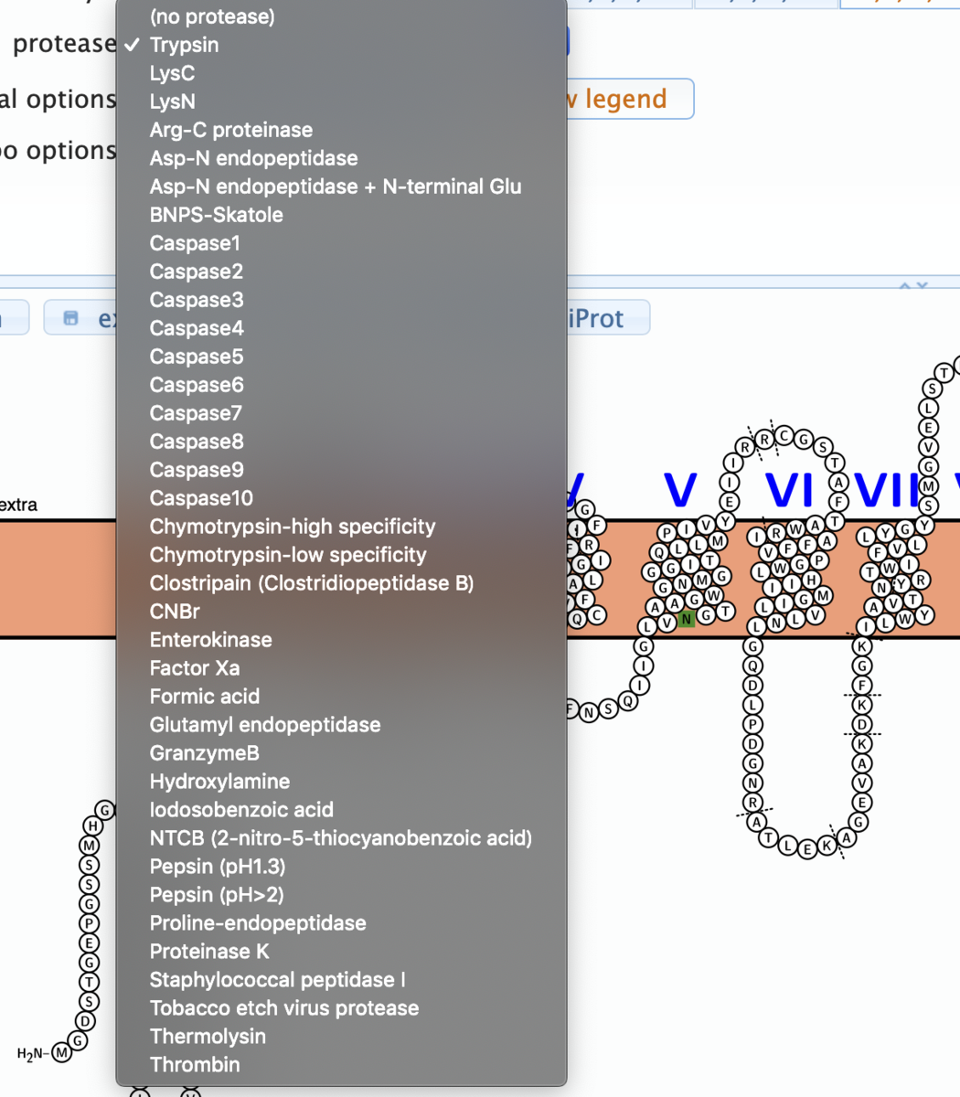 膜タンパク質の推定膜貫通領域などのフィーチャを視覚化する Protter - macでインフォマティクス