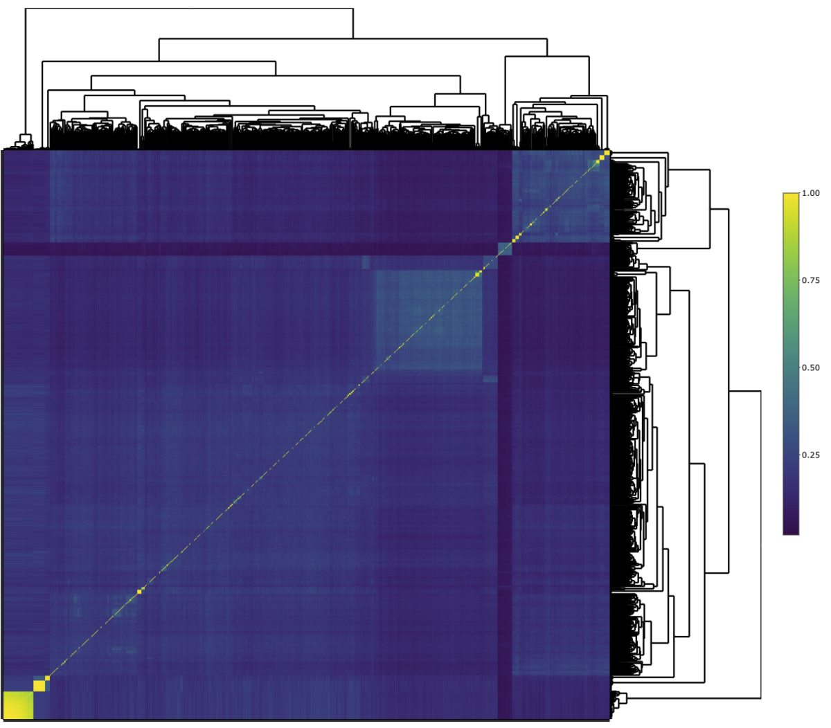インタラクティブなヒートマップを描く heatmaply - macでインフォマティクス