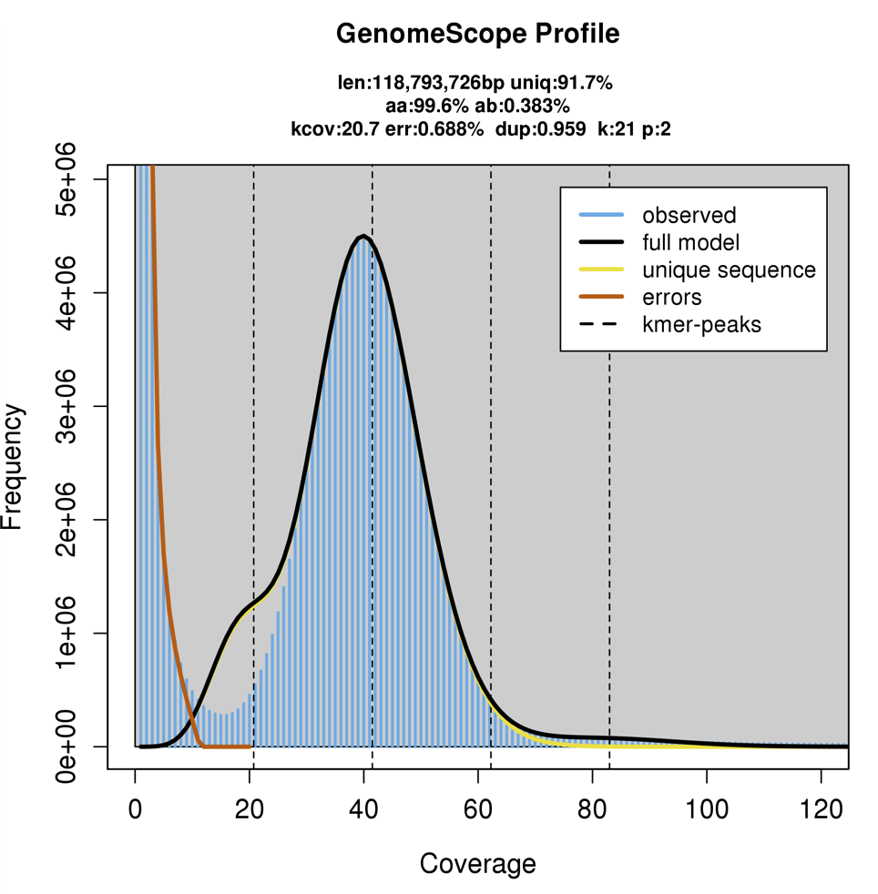 WGSのリードから倍数体ゲノムのゲノムサイズやヘテロ接合度を推定する GenomeScope 2.0 - macでインフォマティクス