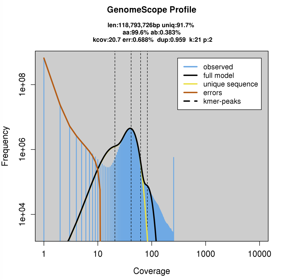 WGSのリードから倍数体ゲノムのゲノムサイズやヘテロ接合度を推定する GenomeScope 2.0 - macでインフォマティクス