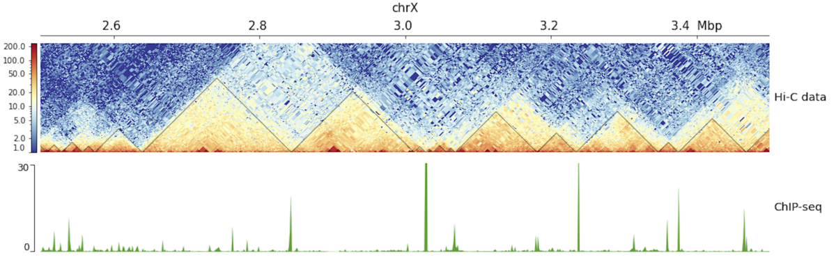 pyGenomeTracks - macでインフォマティクス