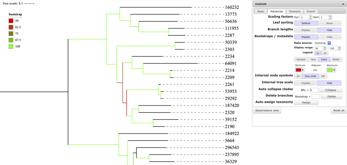 インタラクティブなオンラインの系統樹ツール Interactive Tree Of Life (iTOL) v4 - macでインフォマティクス
