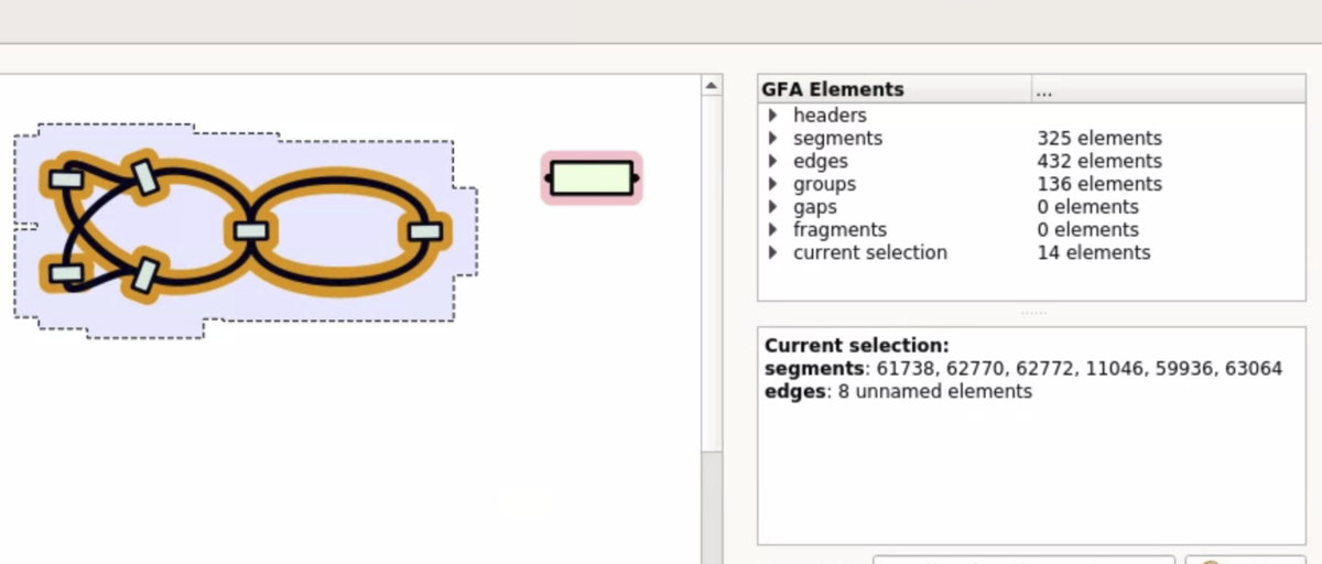 GFAのインタラクティブな可視化ツール GfaViz - macでインフォマティクス