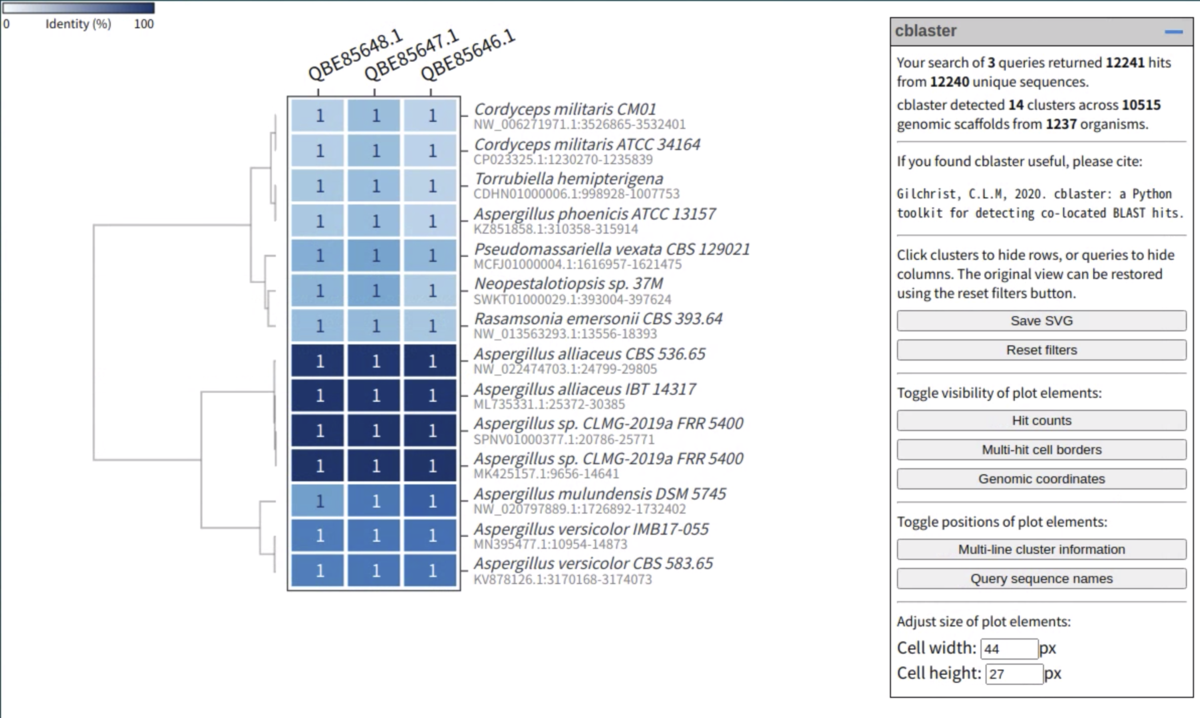 NCBIのデータベースへのリモート検索によって保存された遺伝子クラスターを探索し、クラスタリングして視覚化する cblaster - macで ...