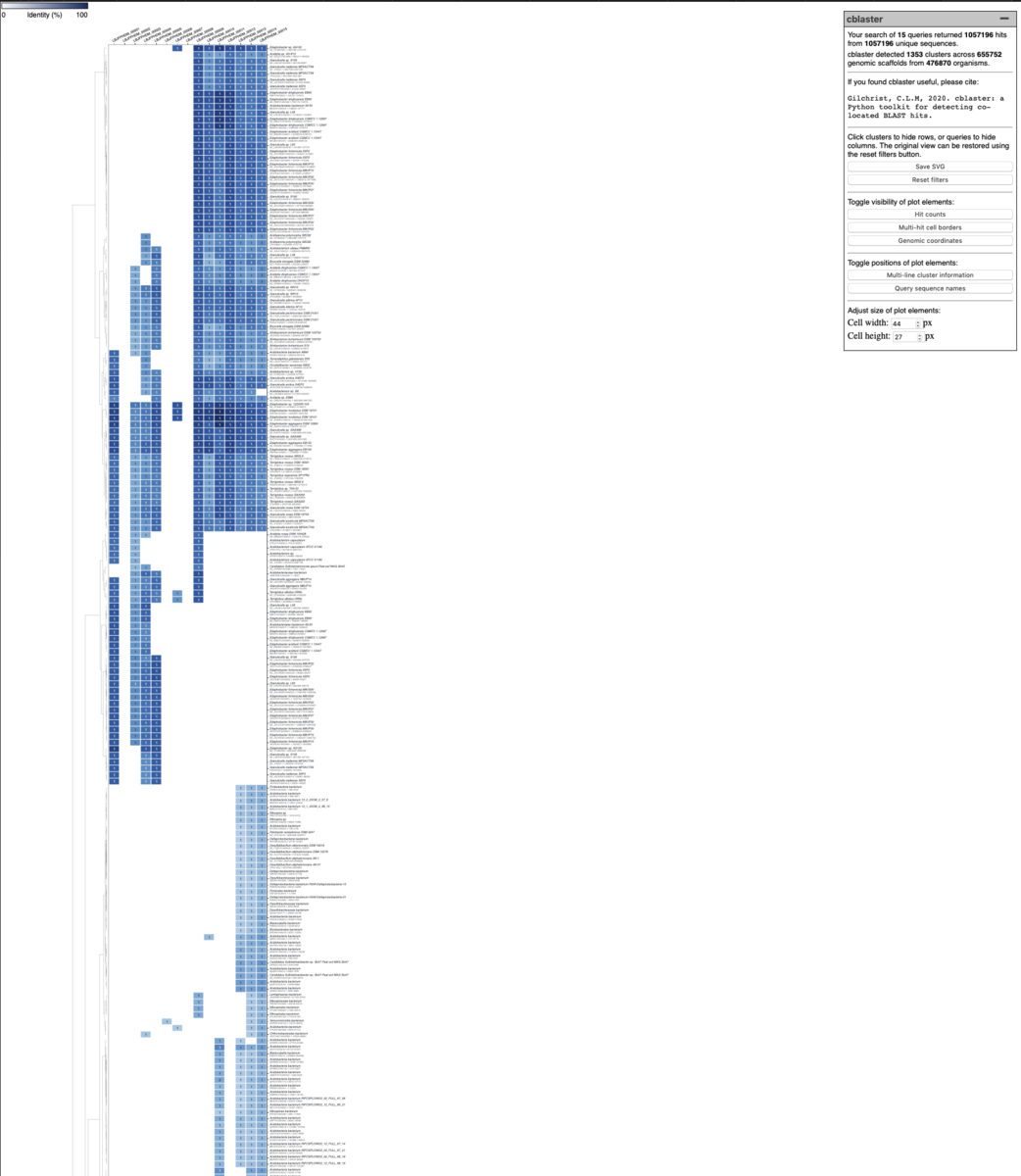 NCBIのデータベースへのリモート検索によって保存された遺伝子クラスターを探索し、クラスタリングして視覚化する cblaster - macで ...