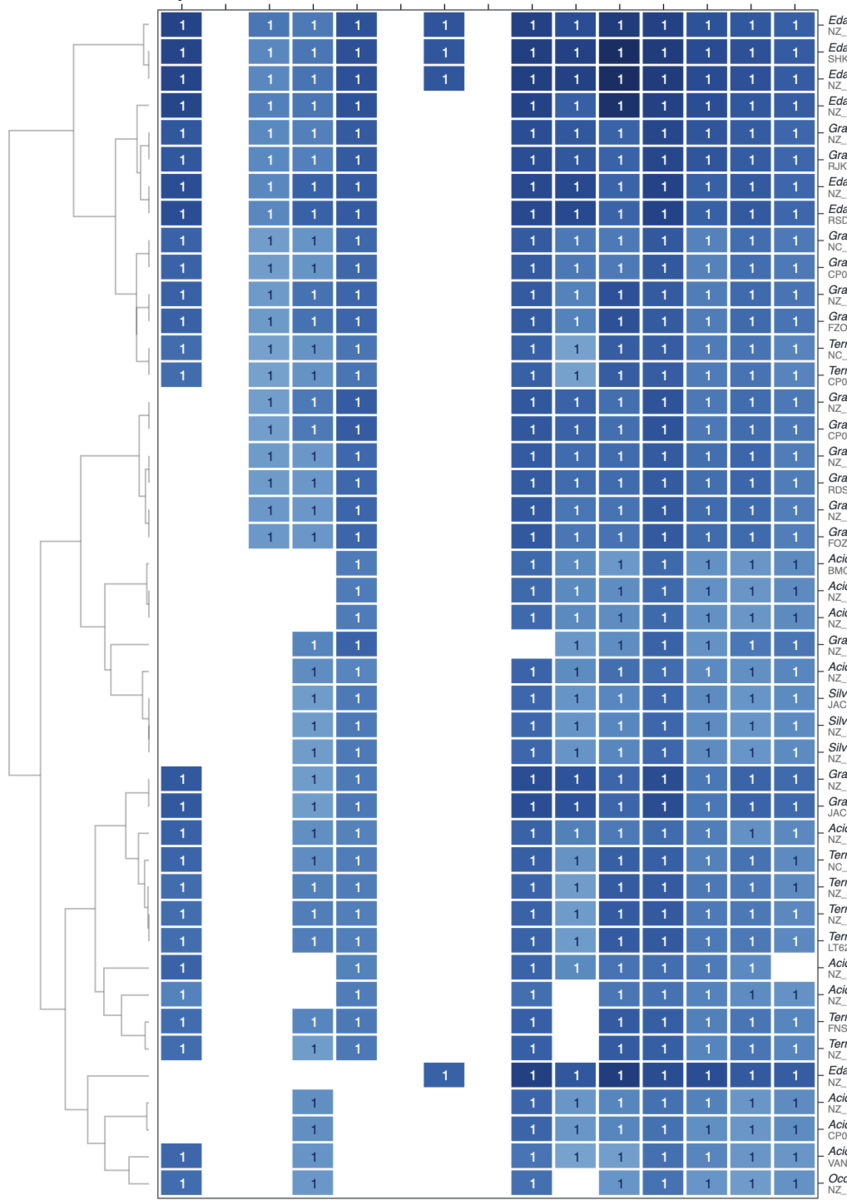 NCBIのデータベースへのリモート検索によって保存された遺伝子クラスターを探索し、クラスタリングして視覚化する cblaster - macで ...