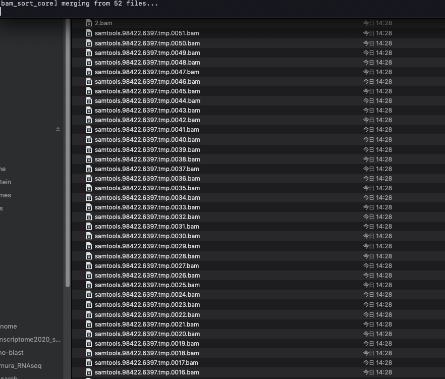 大きなファイルを書き出すために必要な時間 - macでインフォマティクス