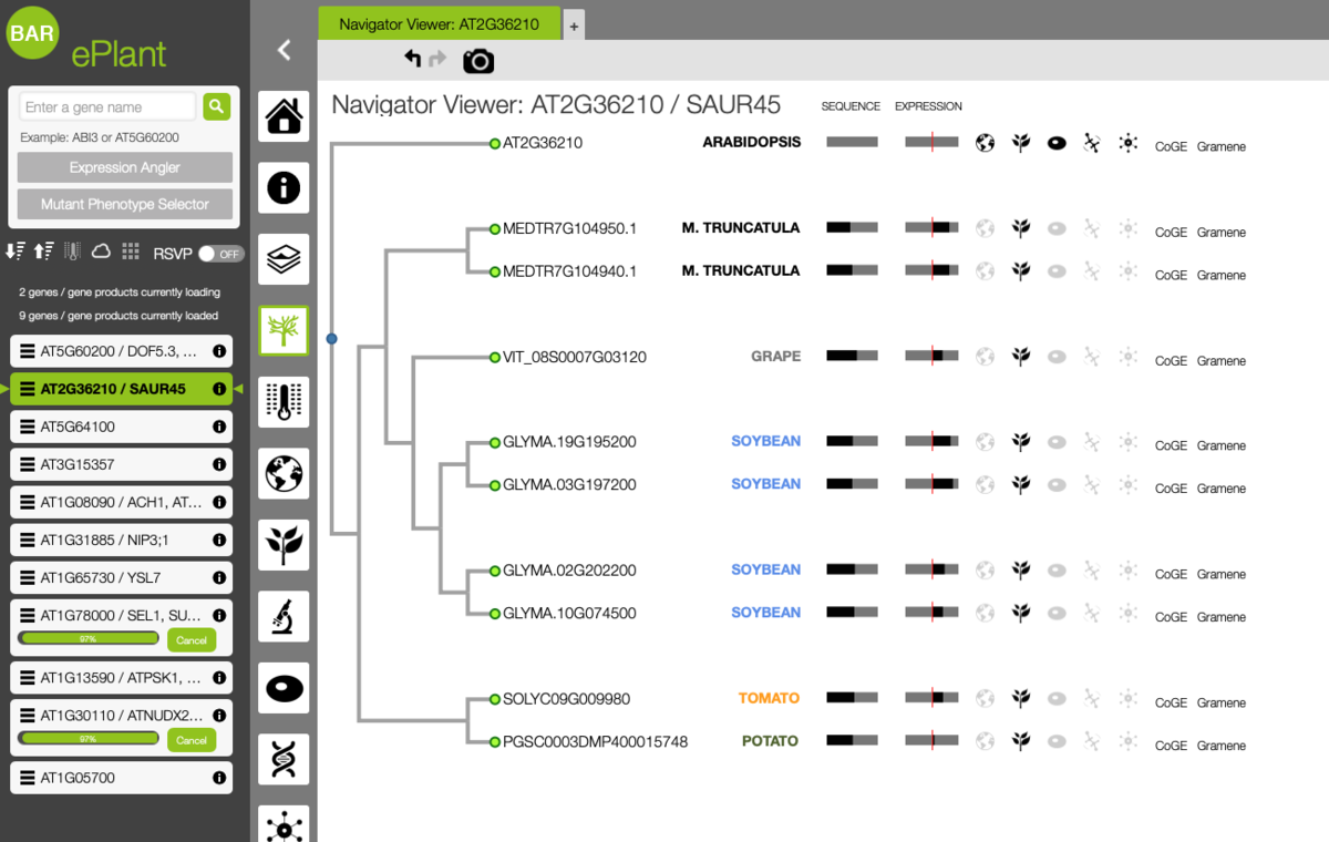 植物の発現データの視覚化と探索を行う ePlant - macでインフォマティクス
