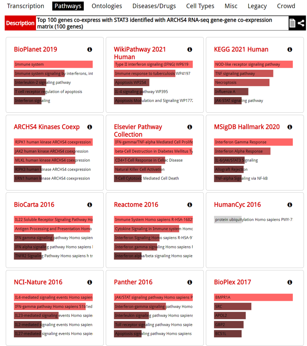 包括的な遺伝子セットのエンリッチメント解析ウェブサーバー Enrichr - macでインフォマティクス