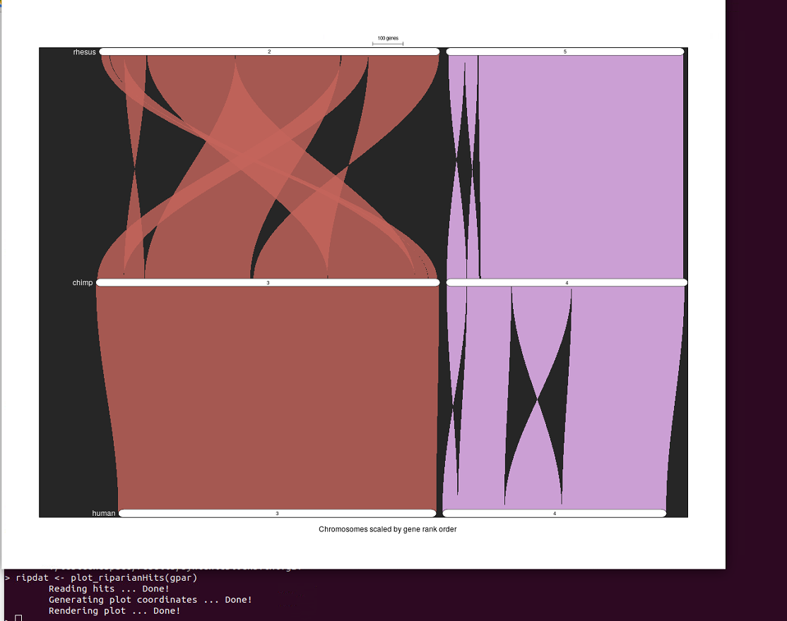 真核生物のシンテニックパンゲノムアノテーションを行う GENESPACE - macでインフォマティクス